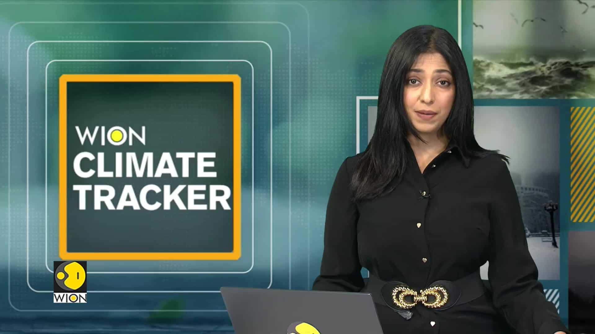 Libya floods death toll hits 11,300: red crescent - World News