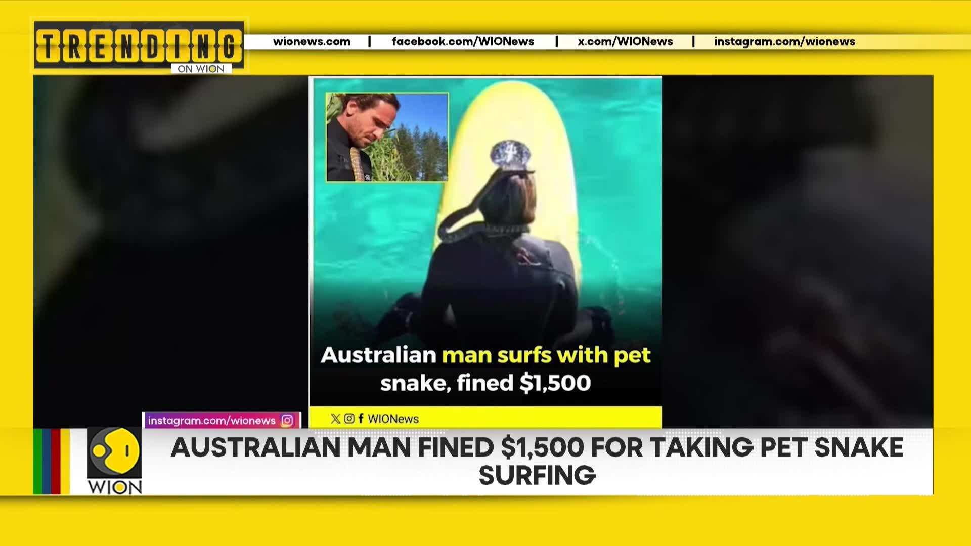 Australia man fined $1,500 for taking pet snake surfing - World News