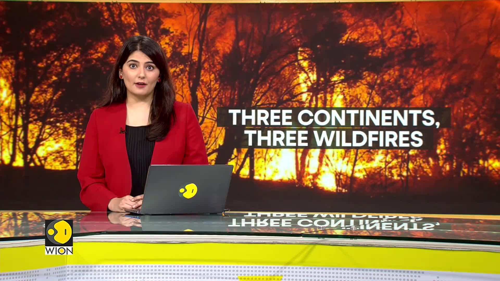 Weekend wildfires across three continents - World News