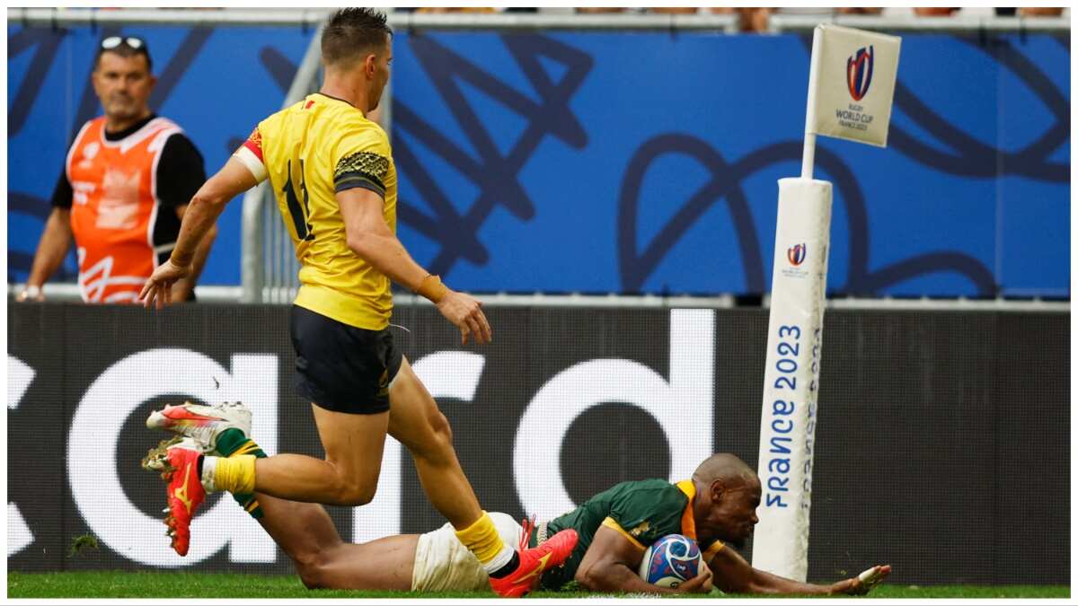 Rugby World Cup 2023: South Africa wing Makazole Mapimpi ruled out with a fractured eye socket ...