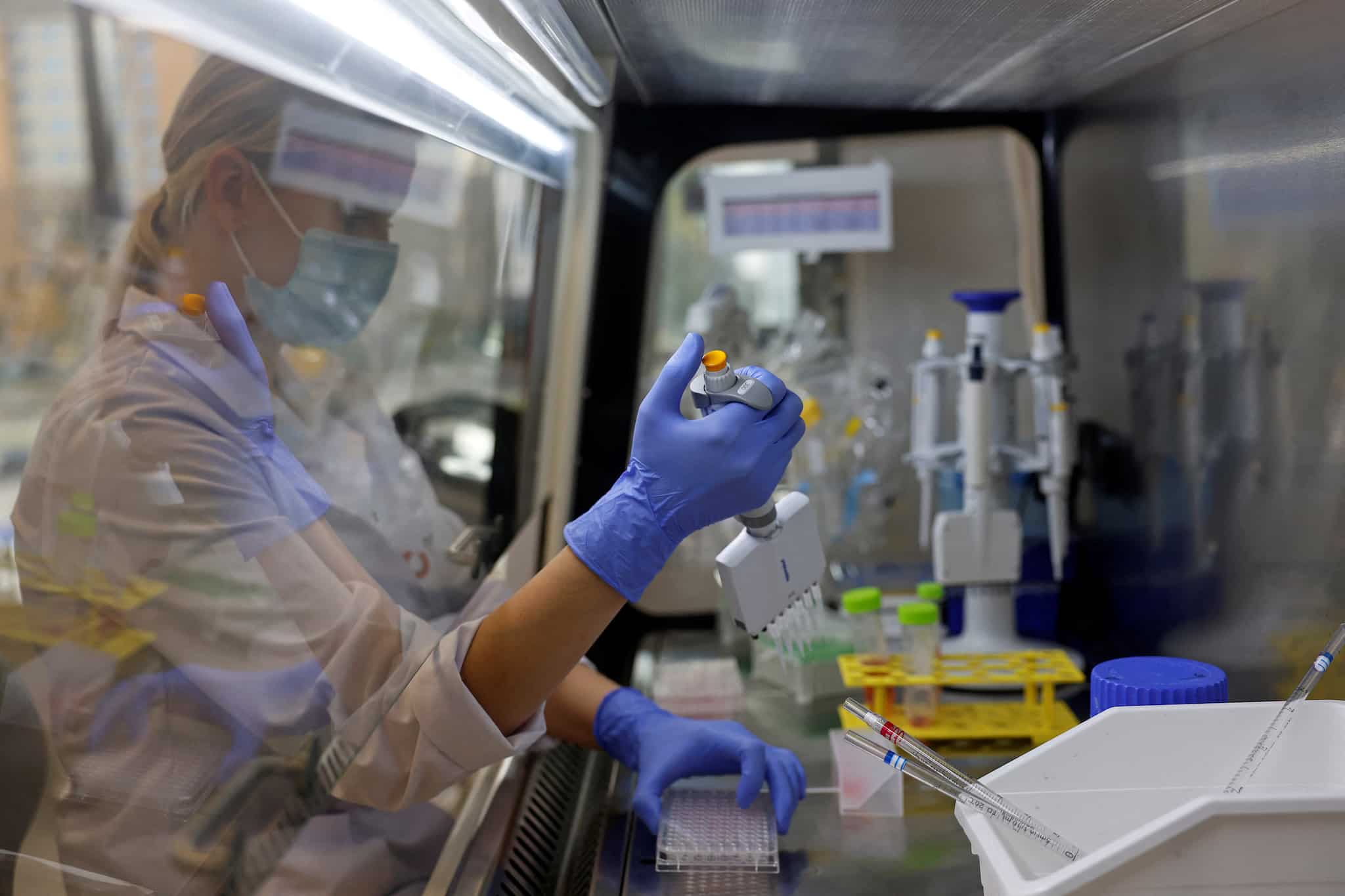 Czech firm Bene Meat gets EU approval for lab-grown pet food - Business ...