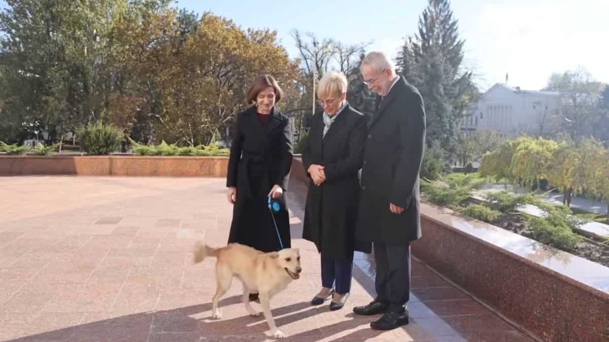 Moldovan President's dog bites visiting Austrian President on the hand ...