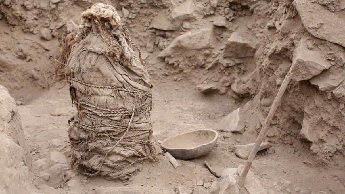 Mummies of children from at least 1,000 years ago unearthed near ...