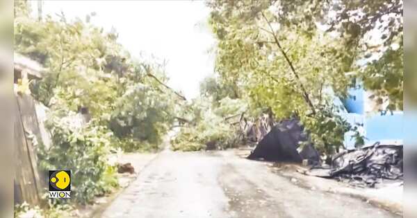 Cyclone Michaung makes landfall in Andhra Pradesh, toll rises to 12 in rain-hit Chennai - India ...