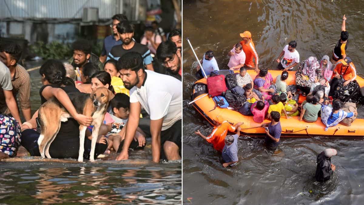 India: Cyclone Michaung leaves behind a trail of destruction - India ...