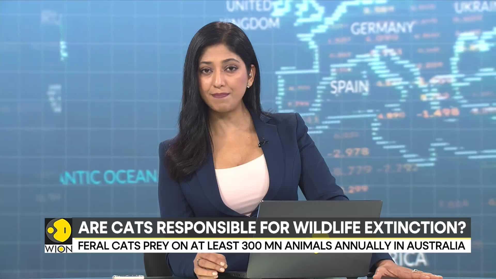 Cats eat 2000 species globally, also prey on species under conservation ...