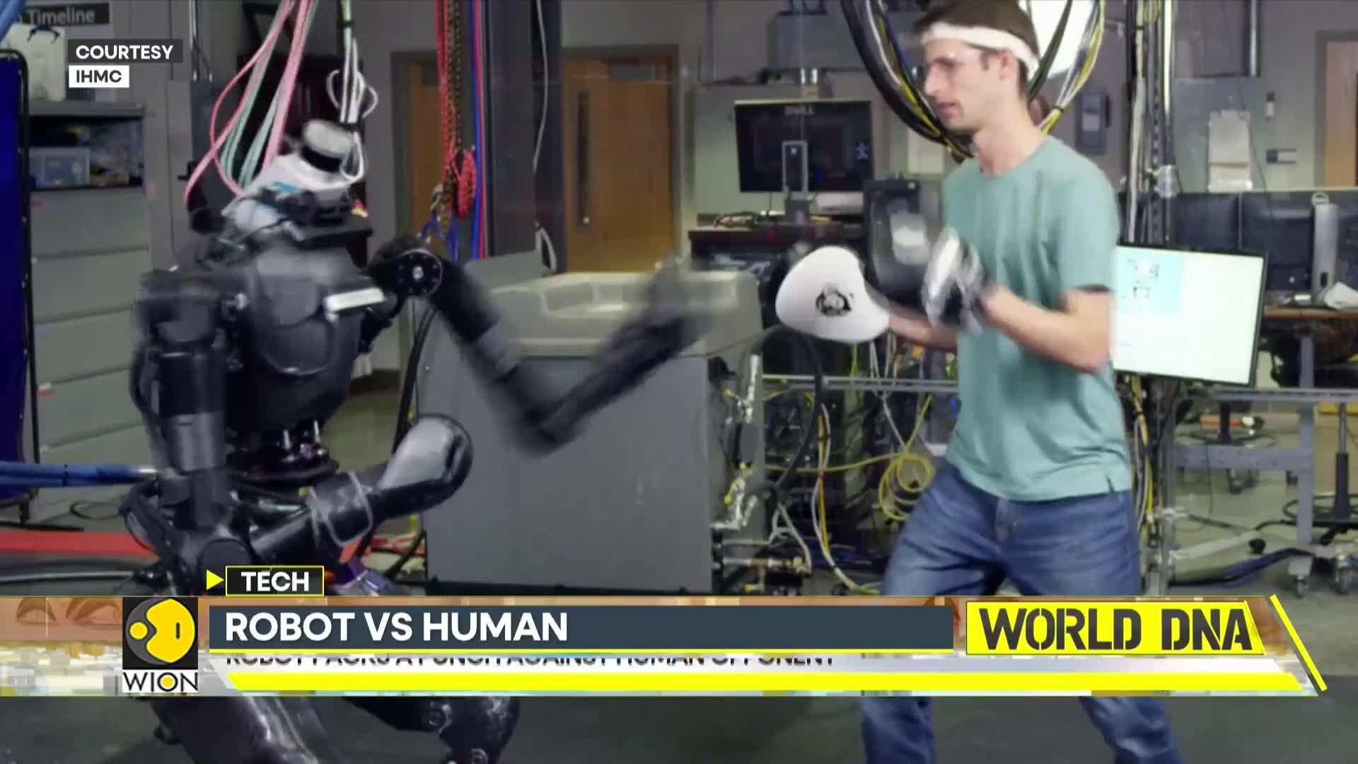Nadia: Humanoid Robot packs a punch against opponent - World News