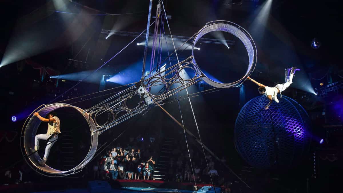 'Blindfolded' acrobat falls from 'Giant Wheel of Death', sustains ...