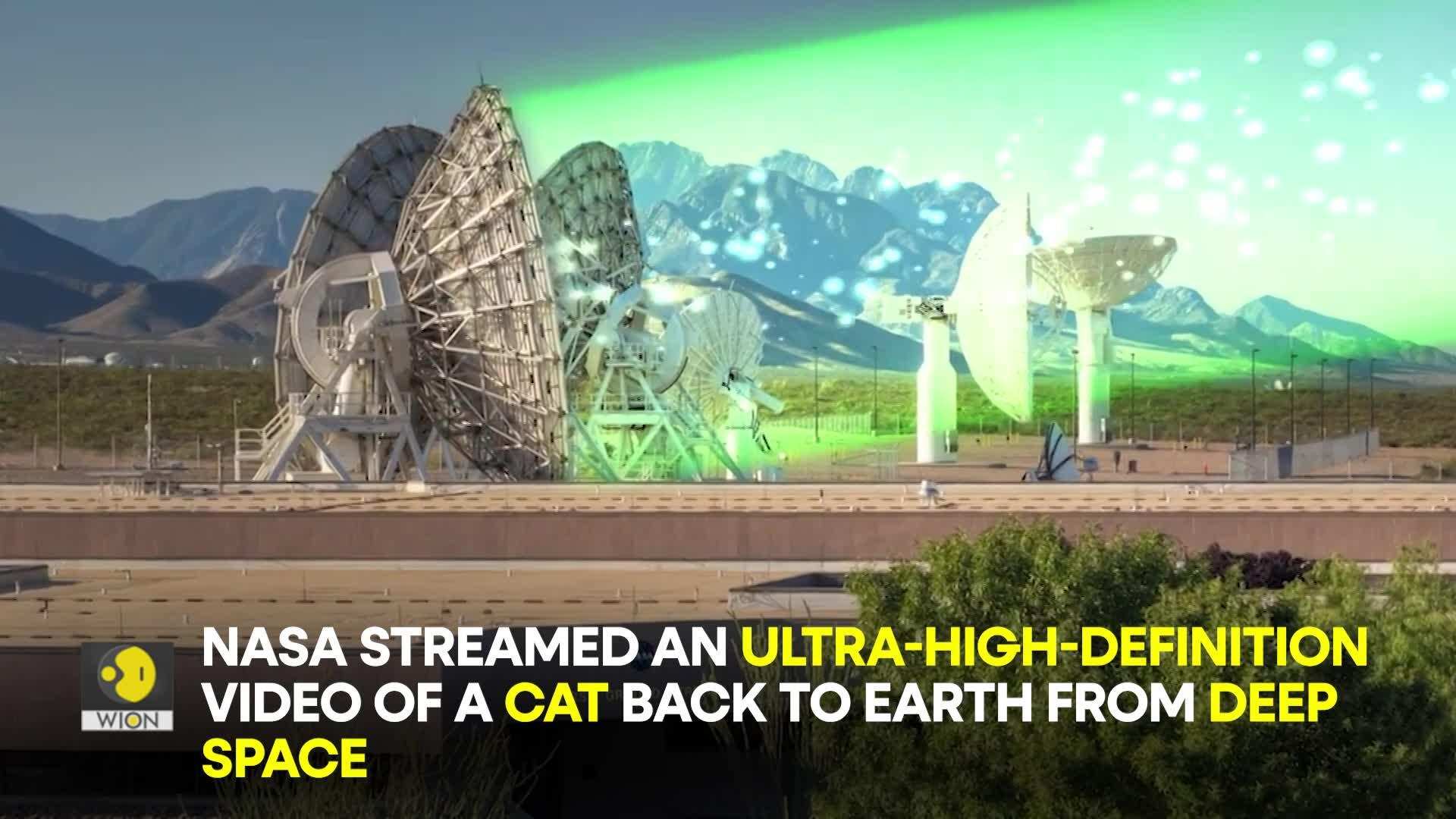 NASA streams an ultra-high-definition video of a cat back to Earth from ...