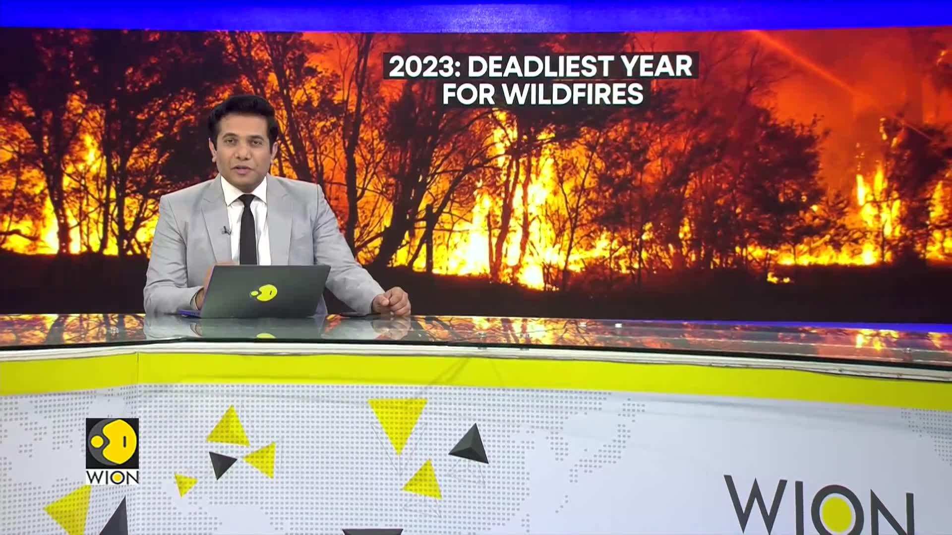 Over 259 killed in forest fires worldwide | Devastating forest fires of ...