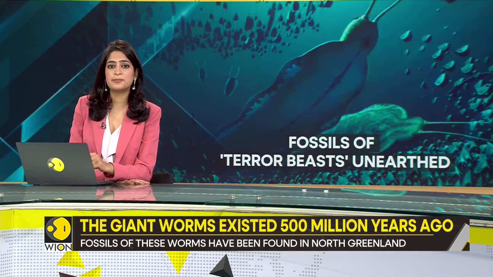 Gravitas | What the fossils of the giant predator worms 'terror beasts ...