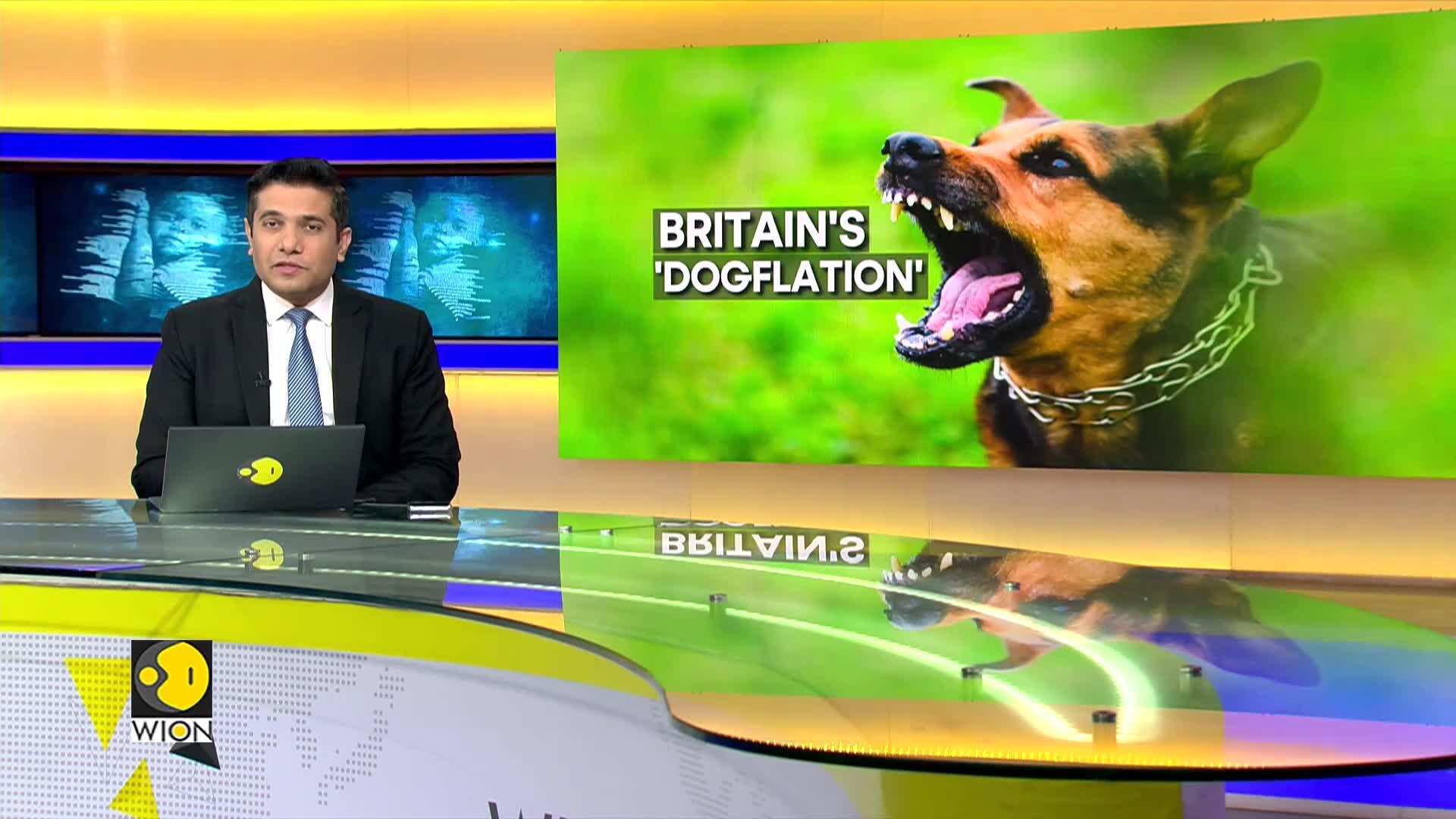 UK: Man's best friend faces brunt of inflation - World News