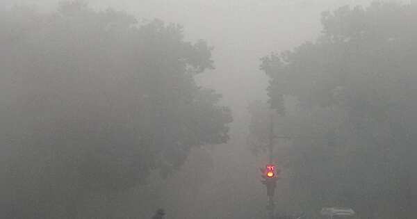 North India records longest fog spell in a decade stretching for over a ...