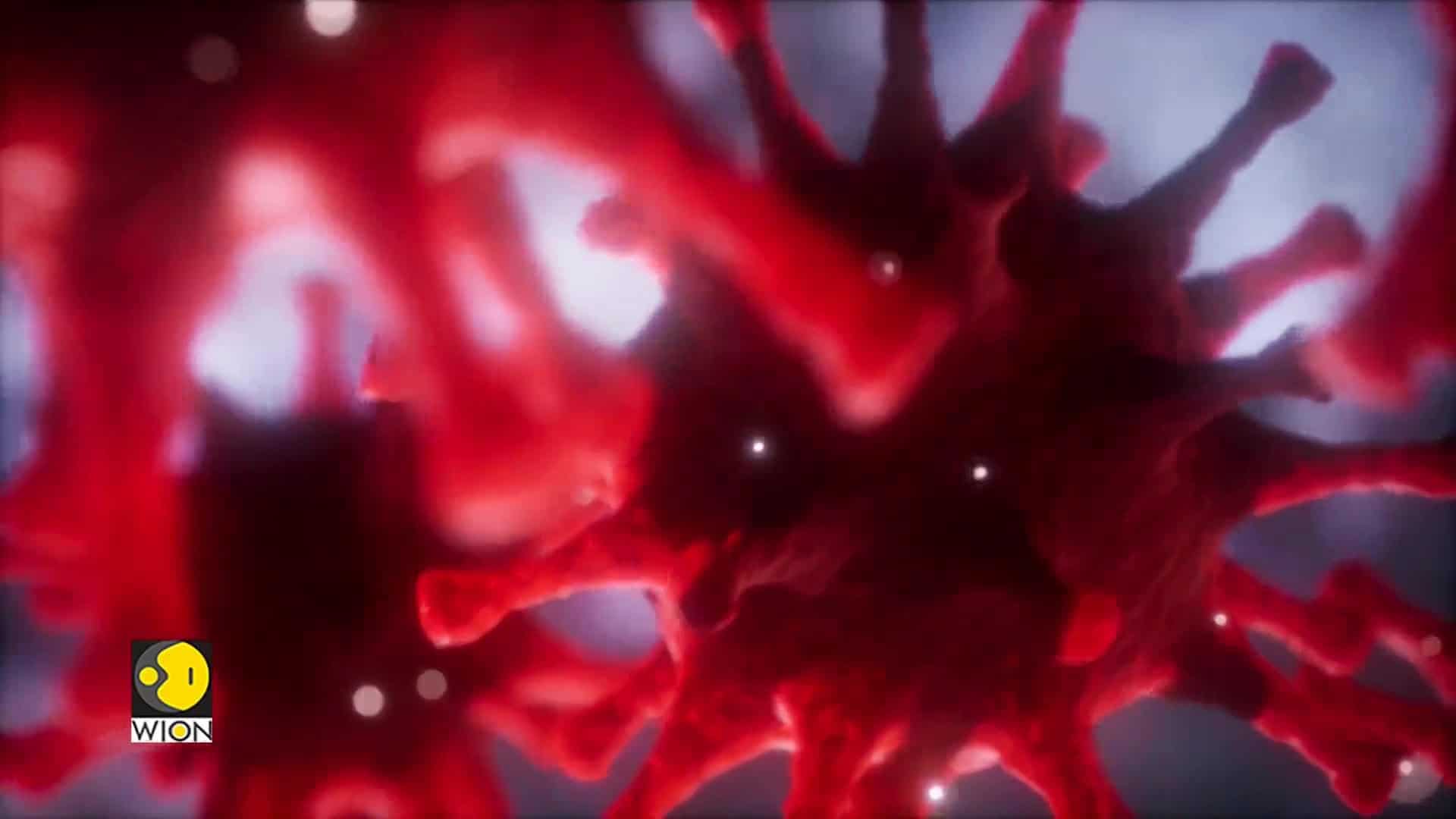 Gravitas | Alaskapox: The new killer virus claims its first victim ...