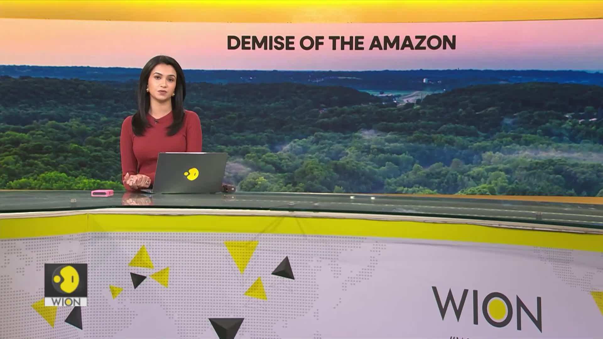 The Amazon rainforest could reach a tipping point by 2050: Study - WION Climate Tracker News
