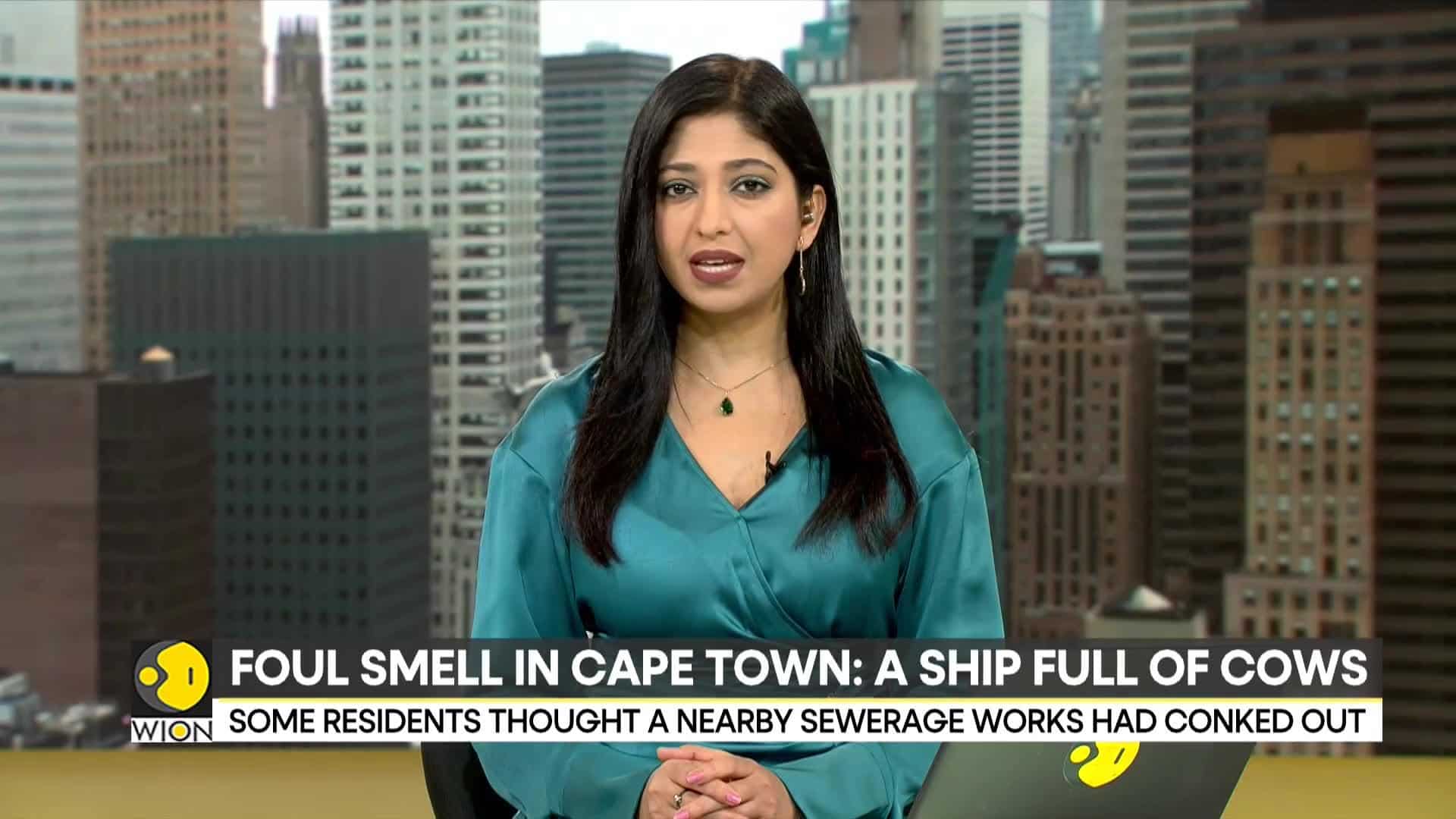 Kuwaiti ship carrying 19,000 cattle stink up Cape Town - World News