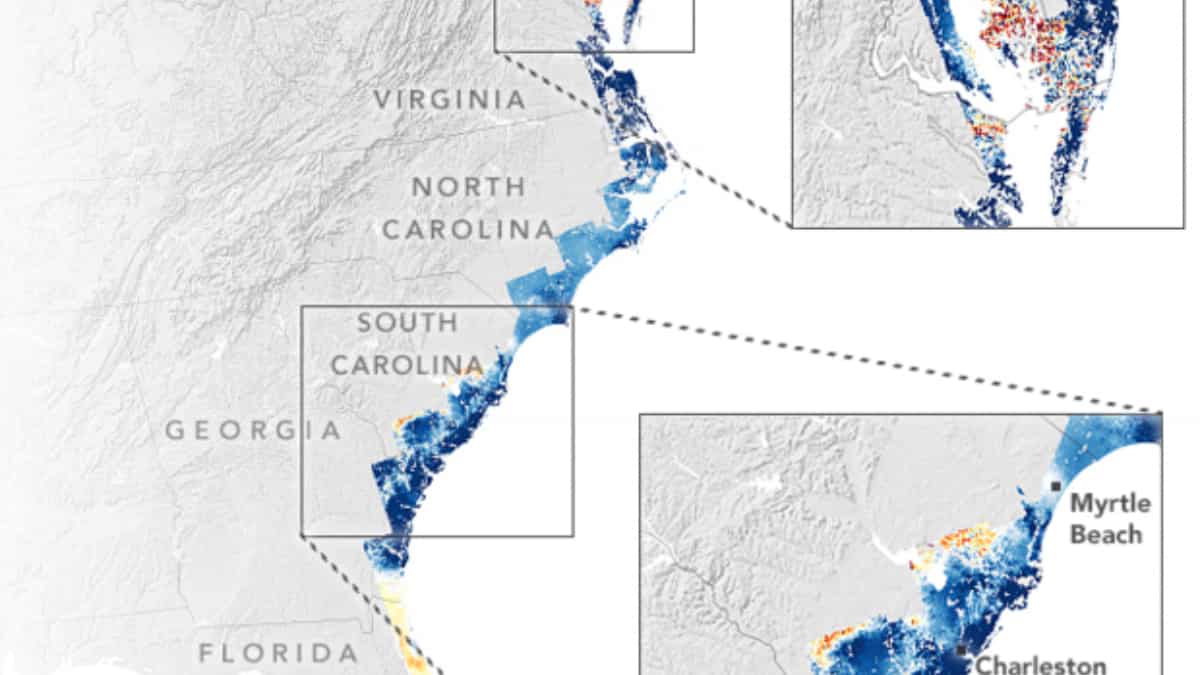 Major cities of United States are sinking, warns NASA - World News