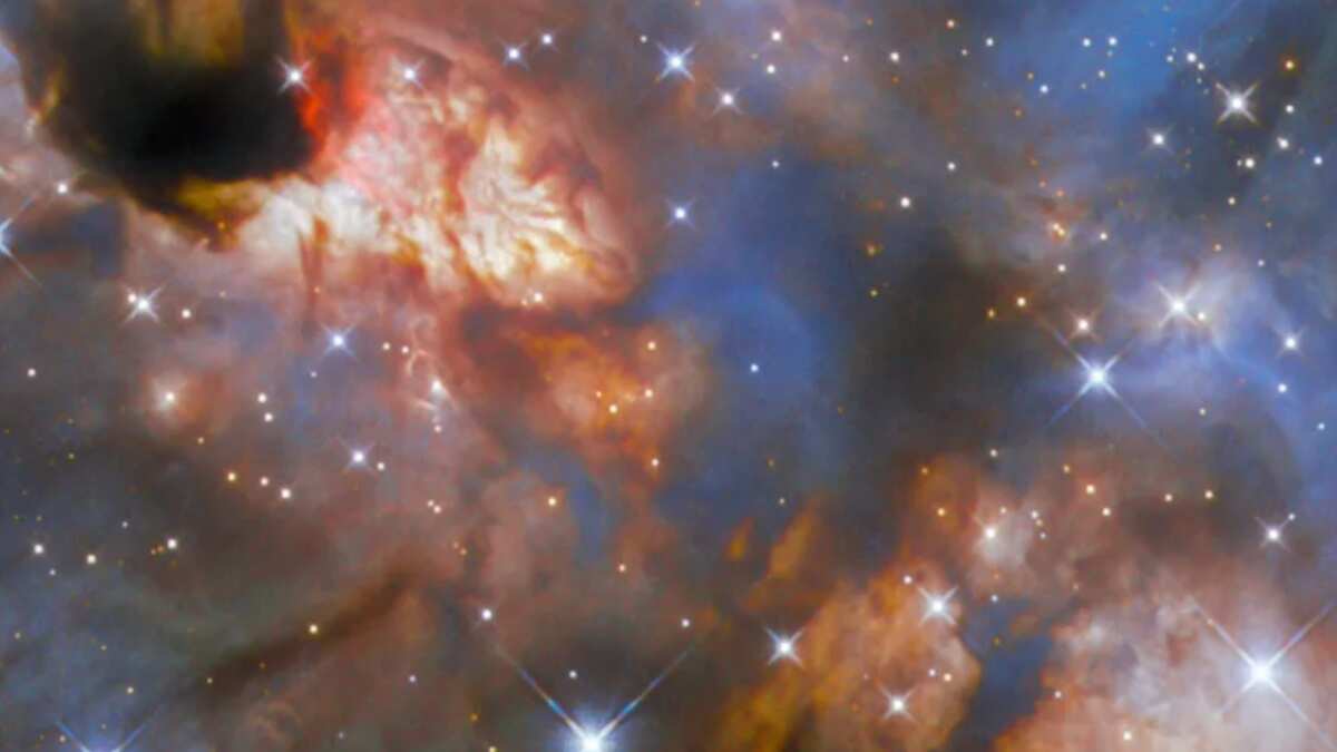 Hubble Space Telescope spots a massive star-forming region in the Milky ...