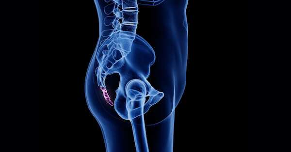 Here's why human tails disappeared 25 million years ago - Science News