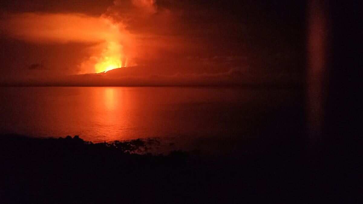 Watch: La Cumbre volcano on Galapagos archipelago blows its top - World ...