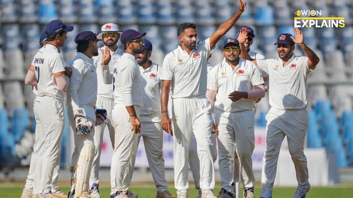 Explained: BCCI's policy to safeguard domestic cricket despite focus on IPL