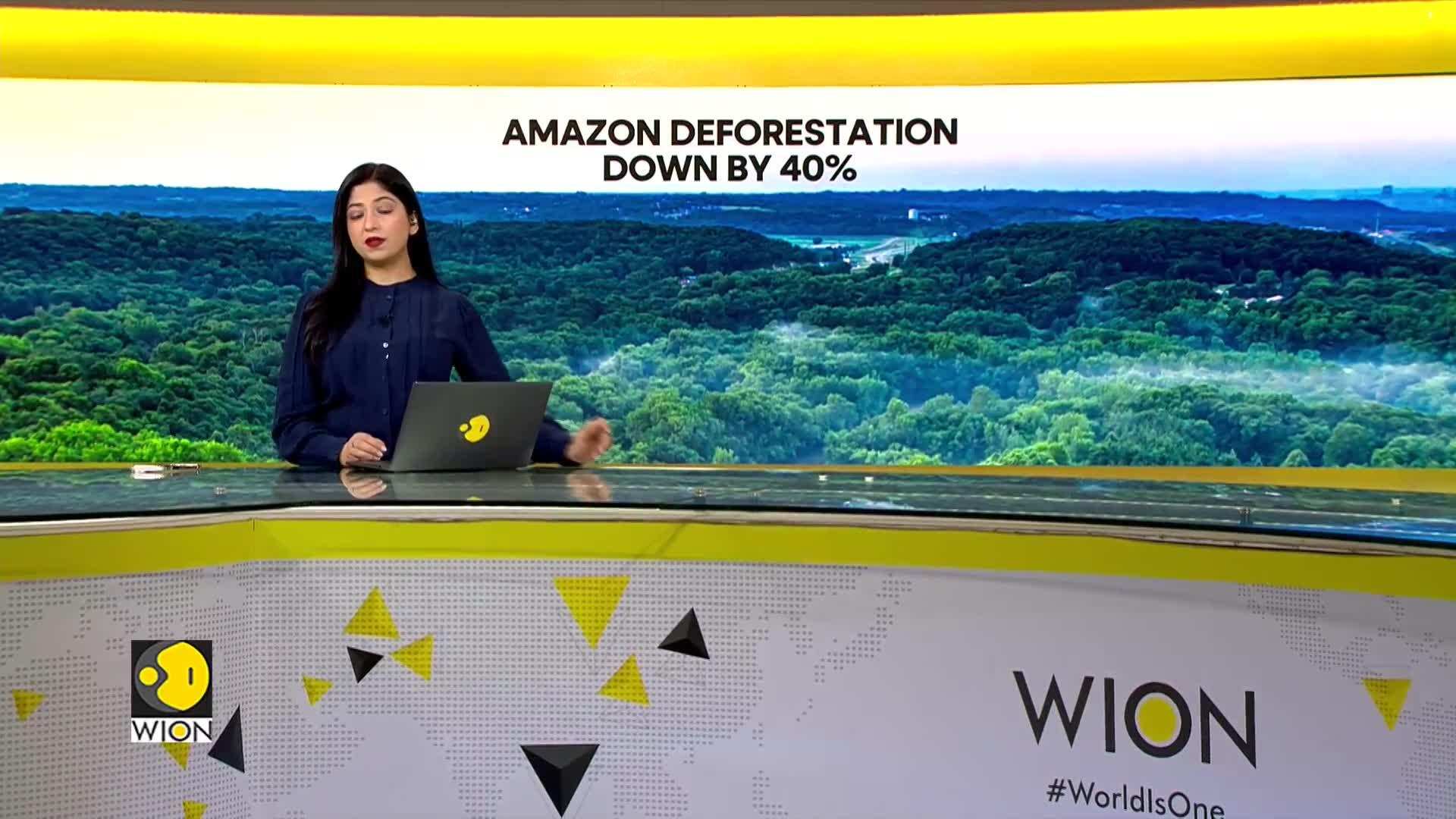 Deforestation in Brazil's Amazon down 40% in 2024 - WION Climate ...