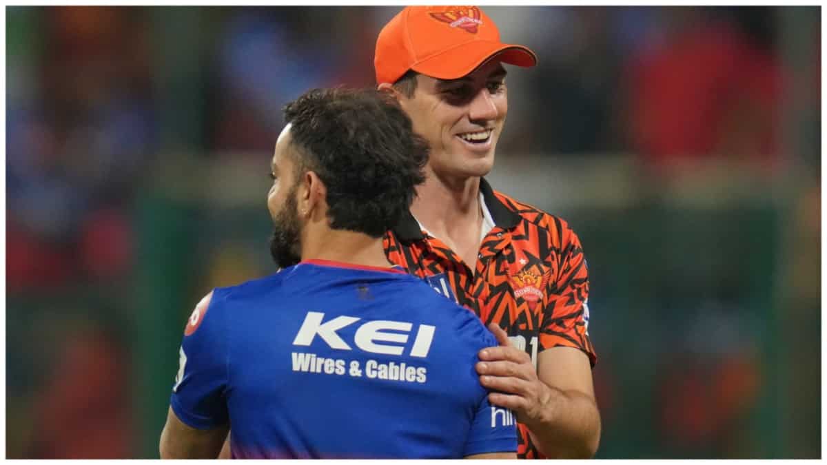 IPL 2024: 'Everyone’s terrified of us' | SRH captain Pat Cummins ...