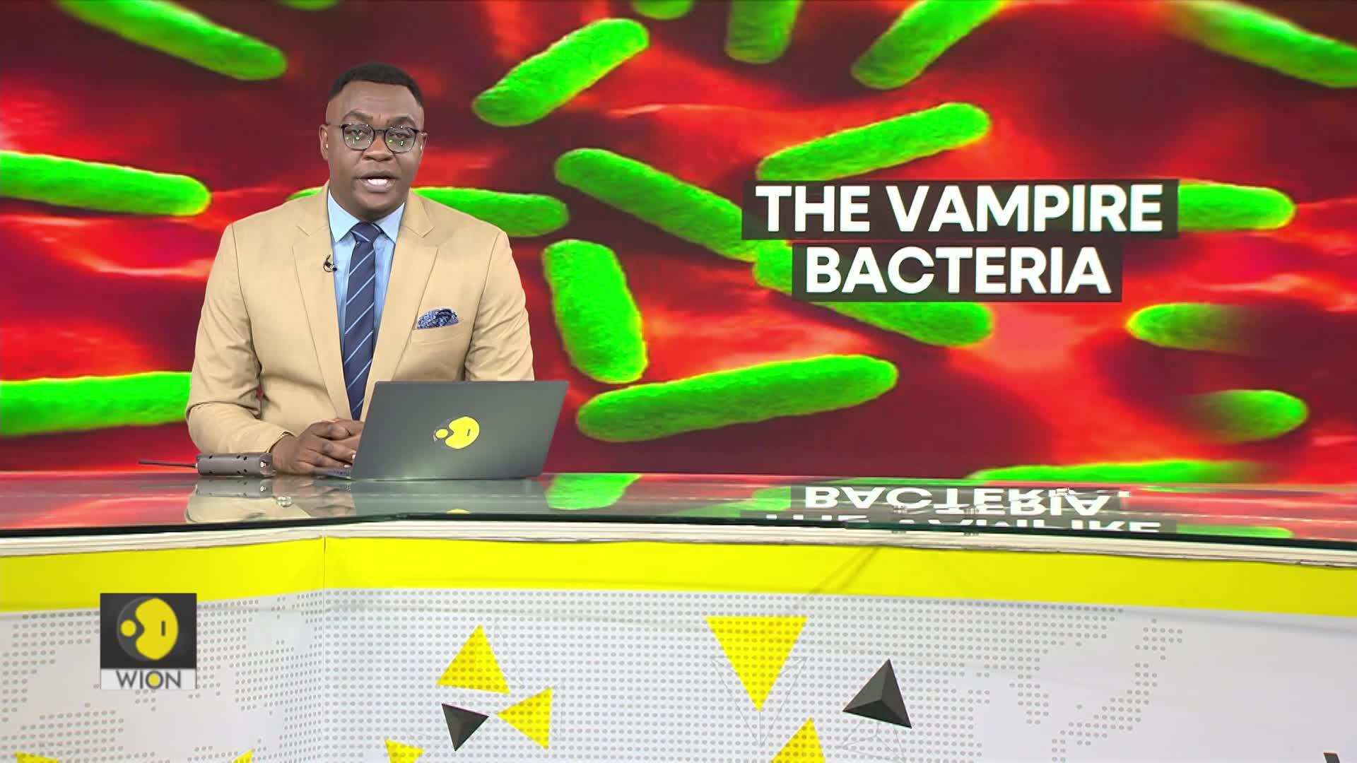 Scientists discover 'Vampire bacteria' that feasts on human blood ...