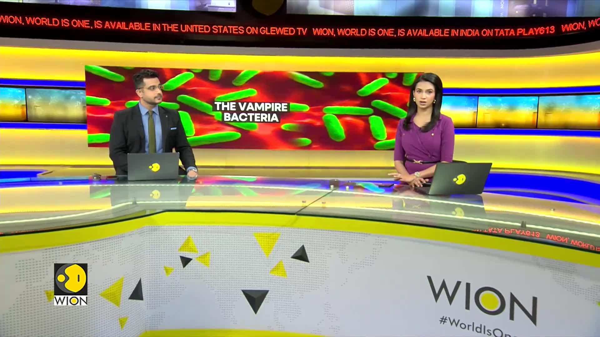 Vampire Bacteria's thirst for human blood, deadly discovery of bacteria ...