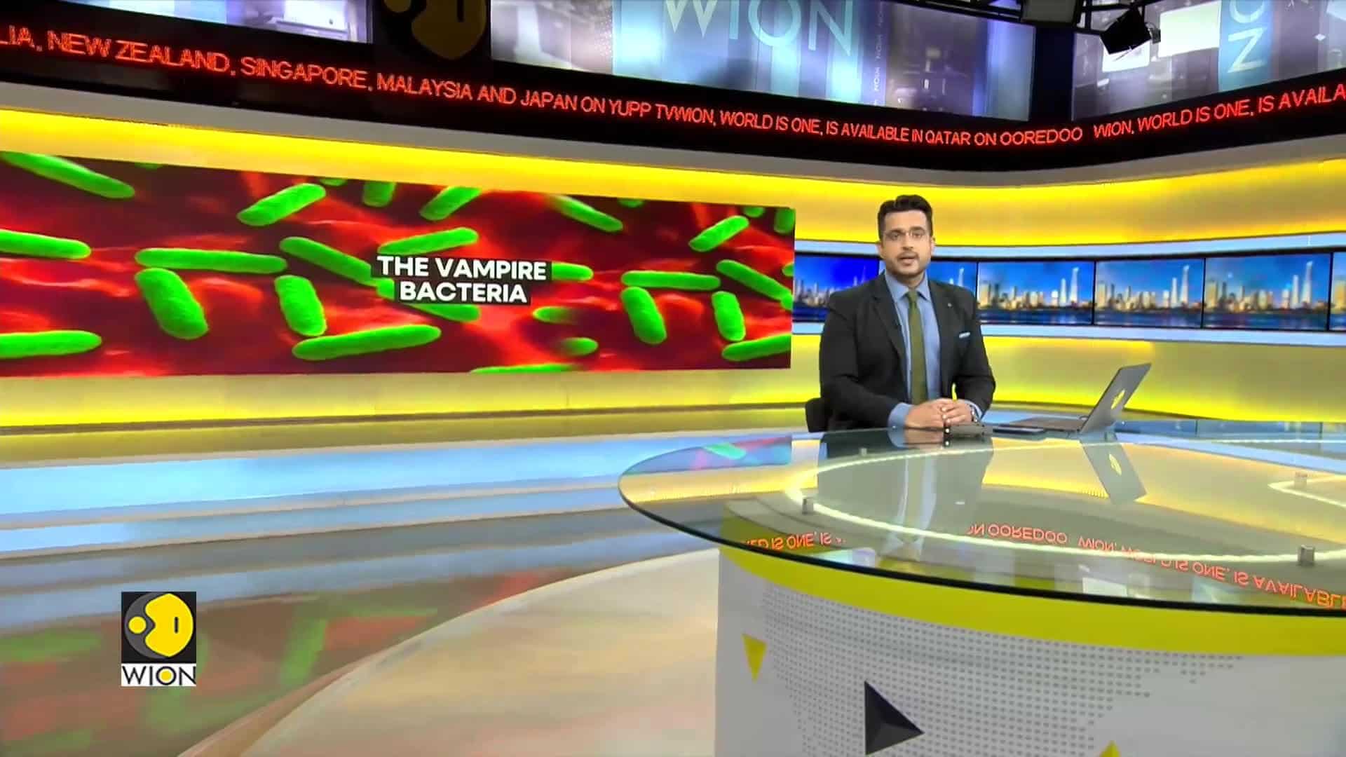 Deadly discovery of 'Vampire' bacteria - World News