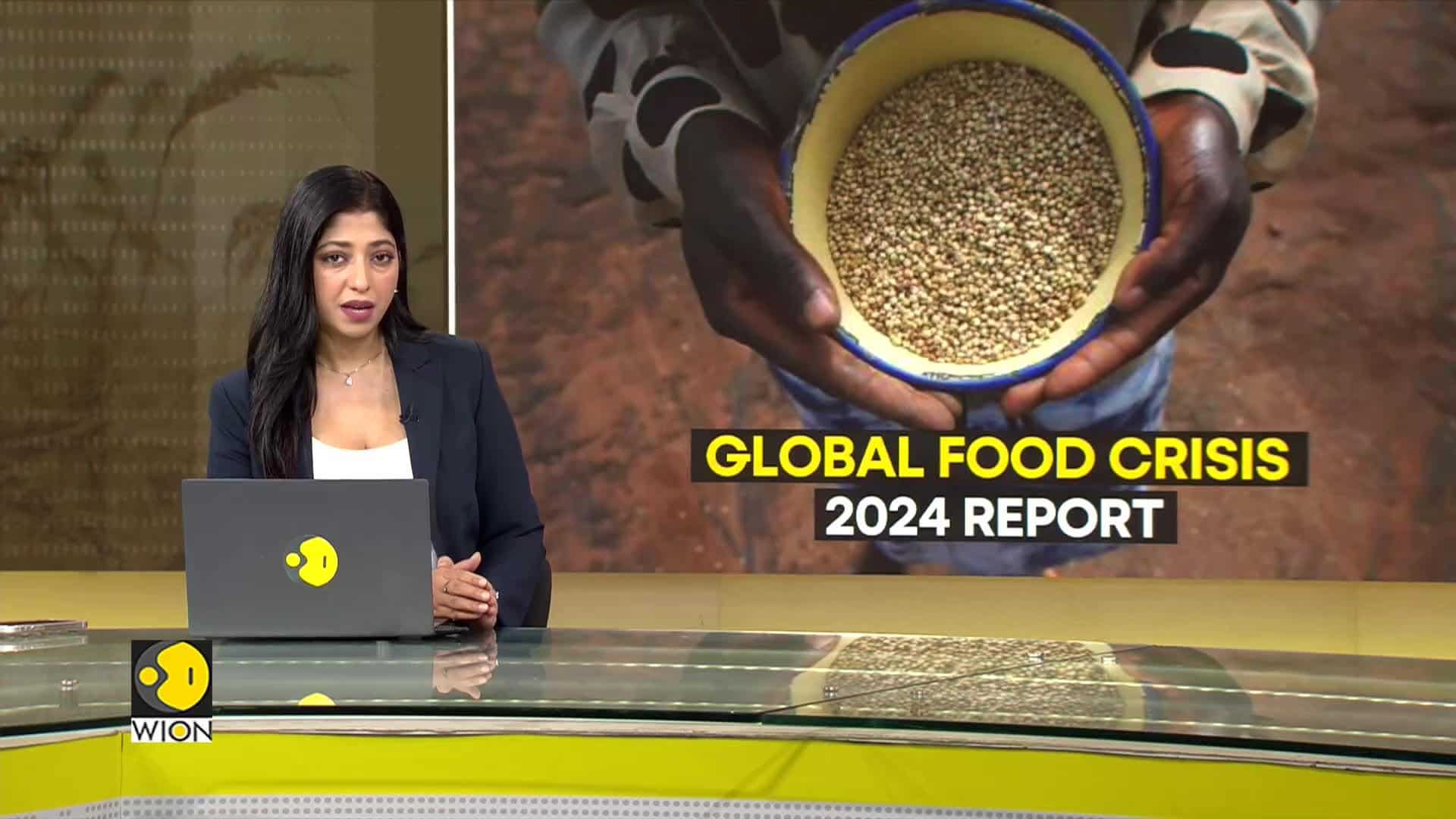 Global Food Crisis 2024 report: 1 in 5 people in need of urgent action ...