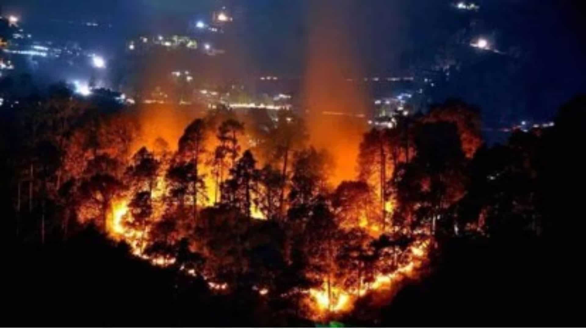 India: Army mobilised as massive forest fire engulfs Nainital's High ...