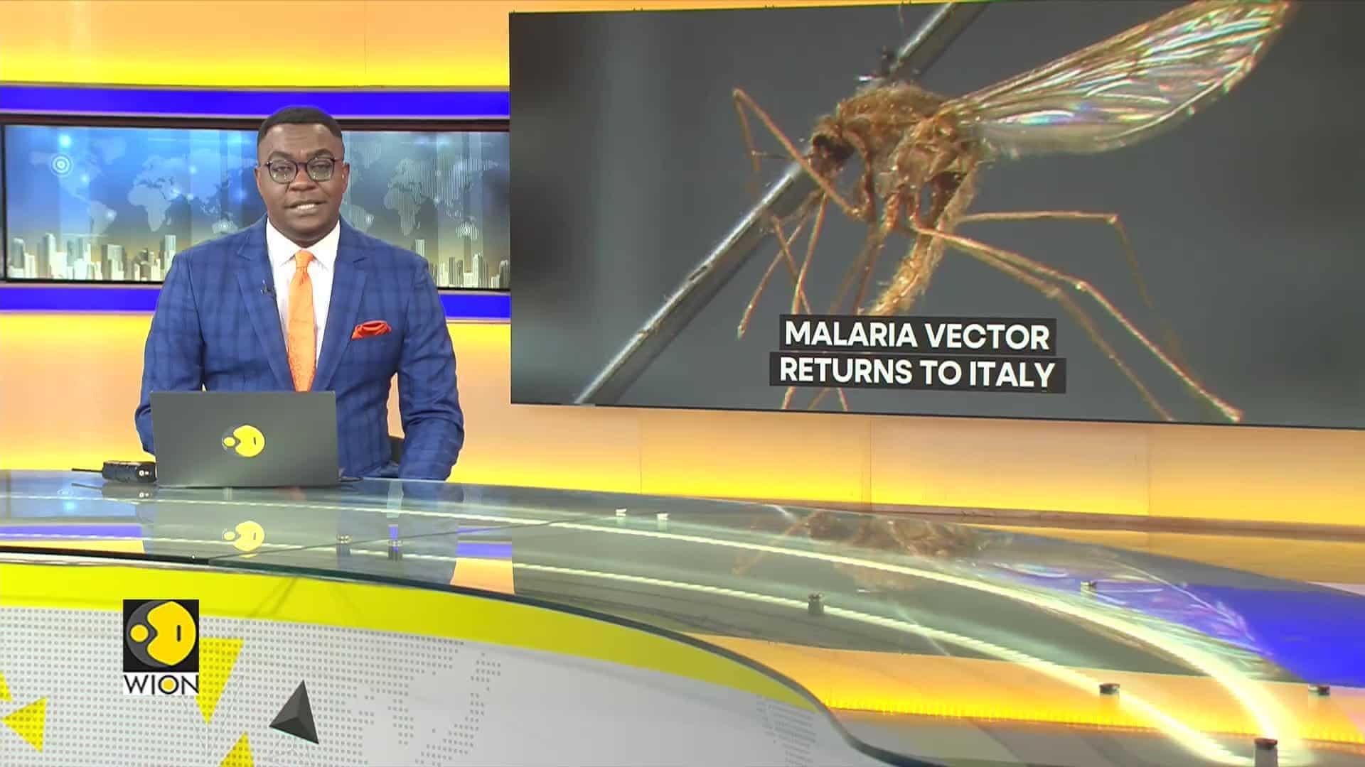 Malaria mosquito species return to Italy after 50 years - World News
