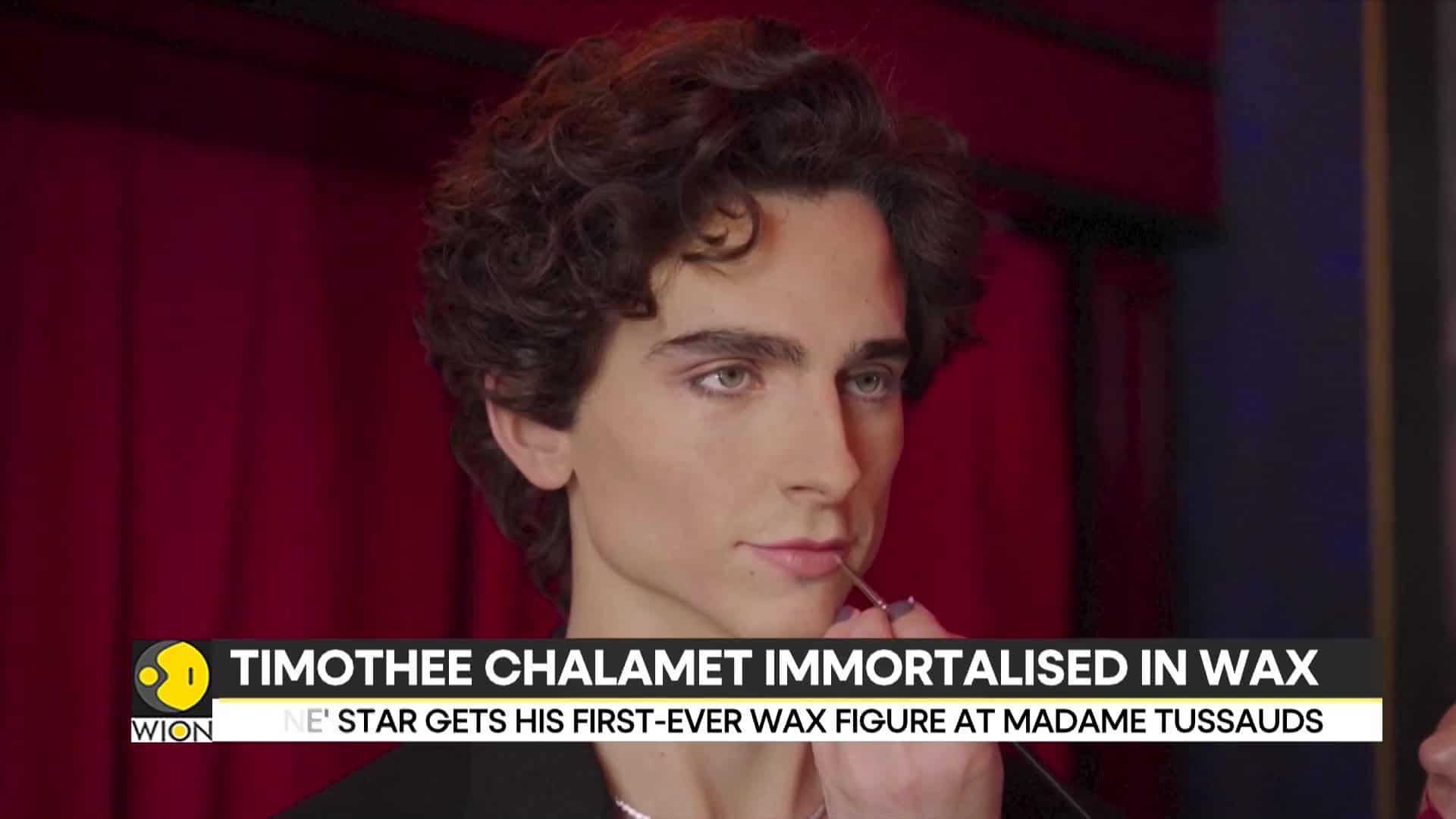 'Dune' star Timothee Chalamet gets hsi first-ever wax figure at Madame ...
