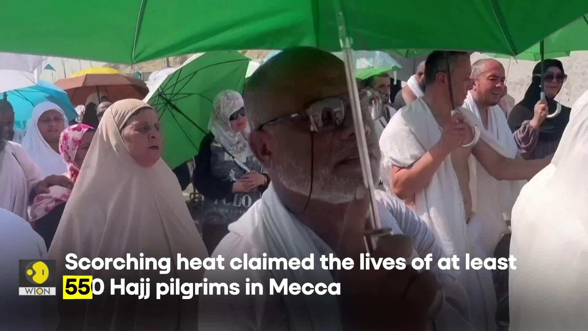 Hajj 2024: At least 550 pilgrims die amid scorching heat - WION Web Originals News