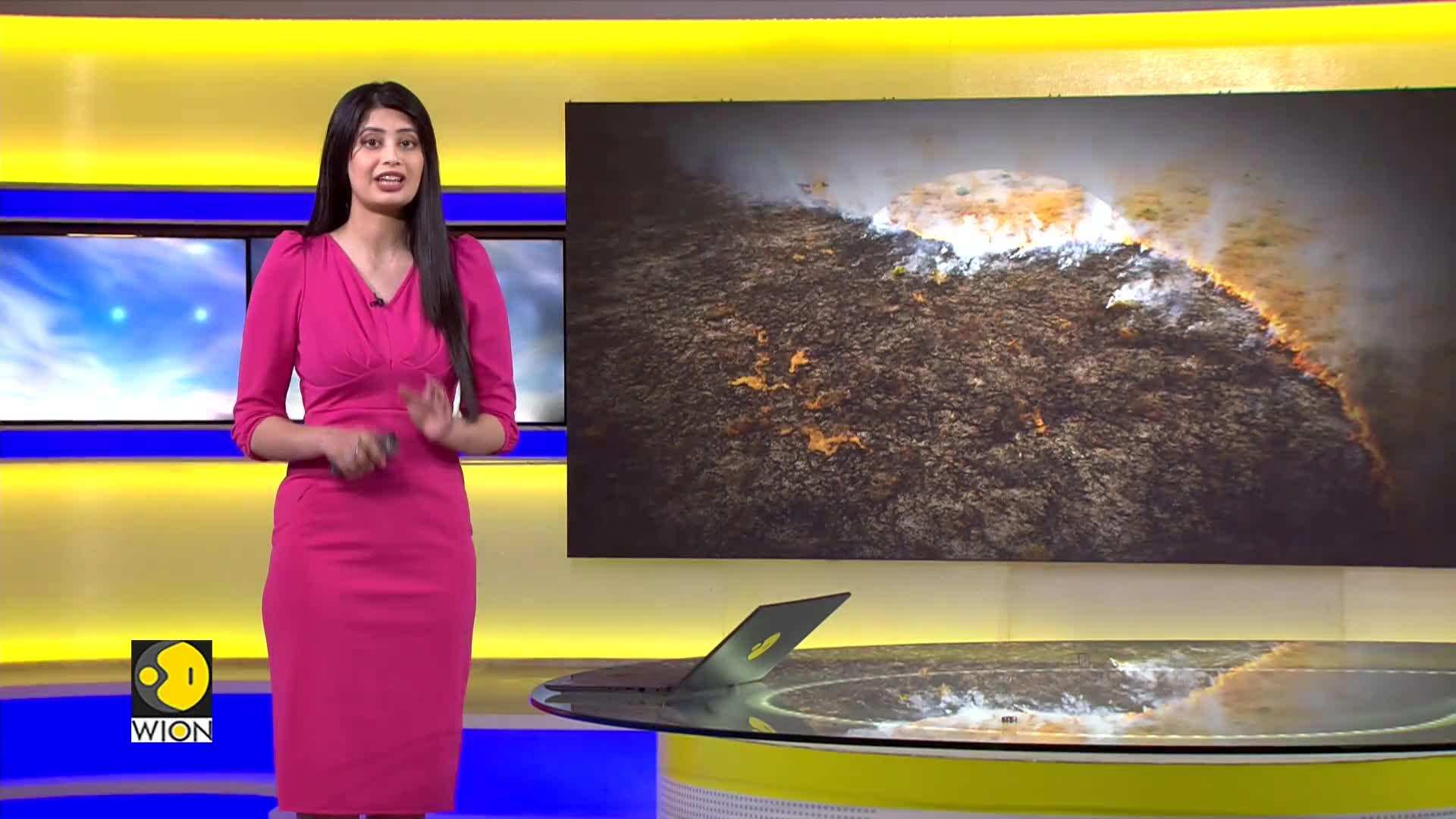 Brazil witnesses worst 6 months of wildfire - WION Climate Tracker News