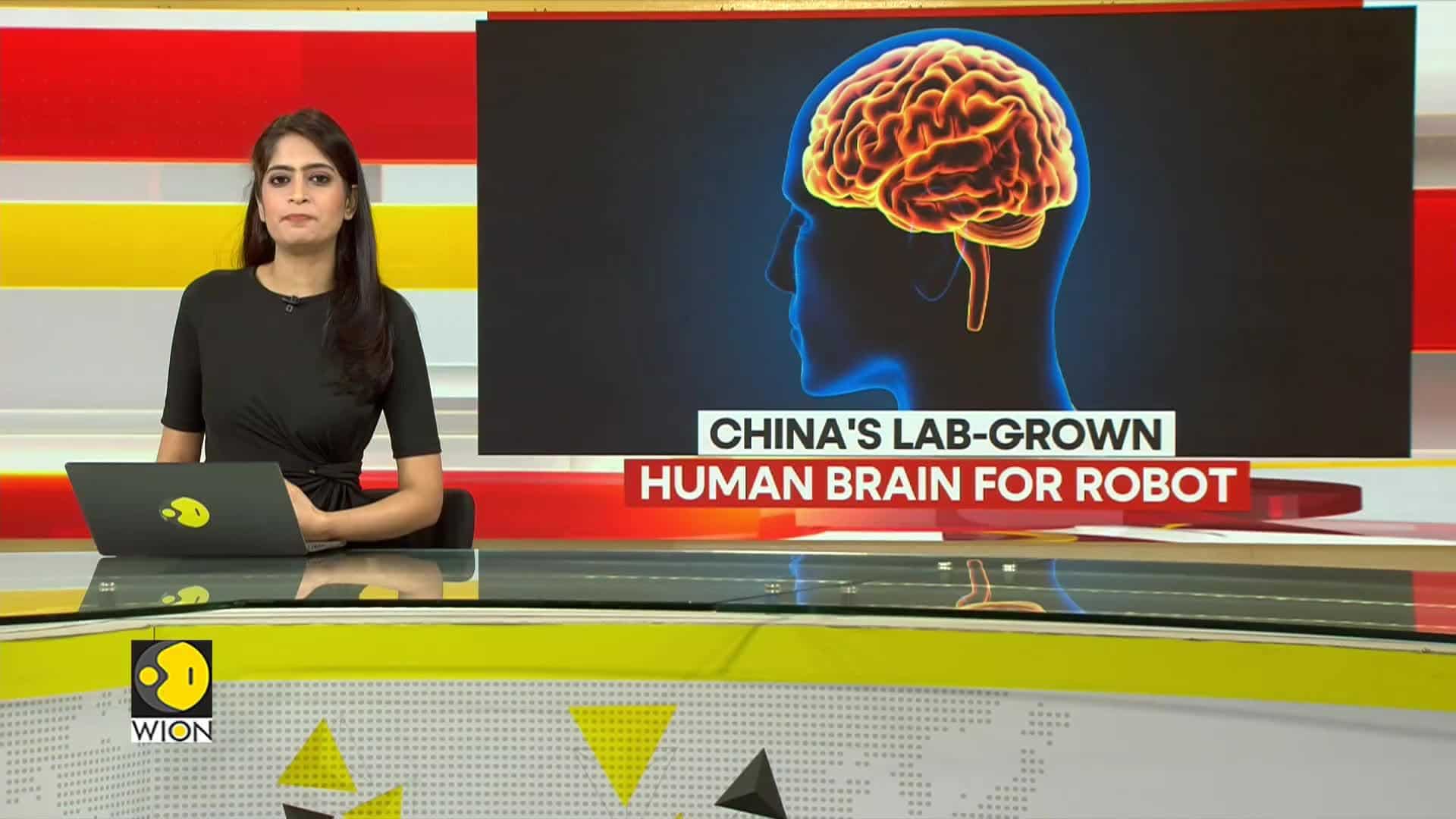 Gravitas: Chinese scientists develop robot with lab-grown human brain ... Gravitas: Chinese scientists develop robot with lab-grown human brain ...