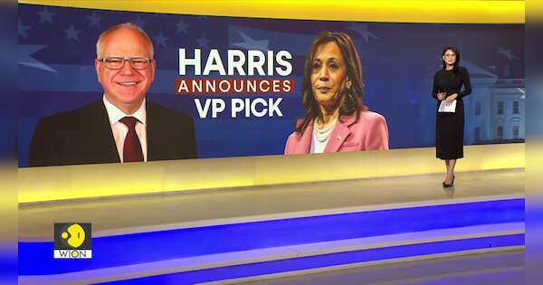 US Elections 2024: All about Tim Walz, Kamala Harris’s VP pick - Race ...