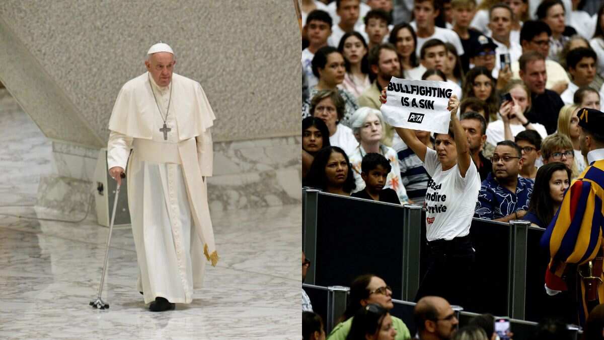 ‘Stop blessing corridas’: Animal rights activists protest THIS ‘blood ...