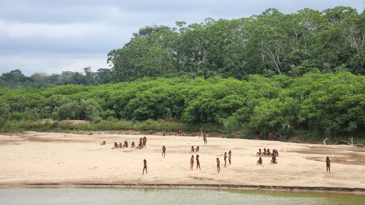 Uncontacted Peruvian Amazon tribe is now hunting humans using arrows ...