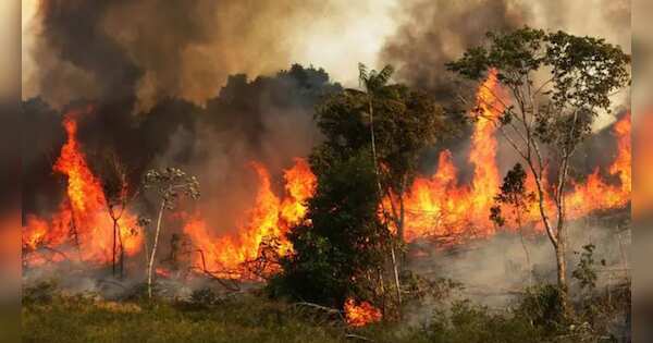 Extreme weather to impact 70 per cent of humans in next 20 years ...