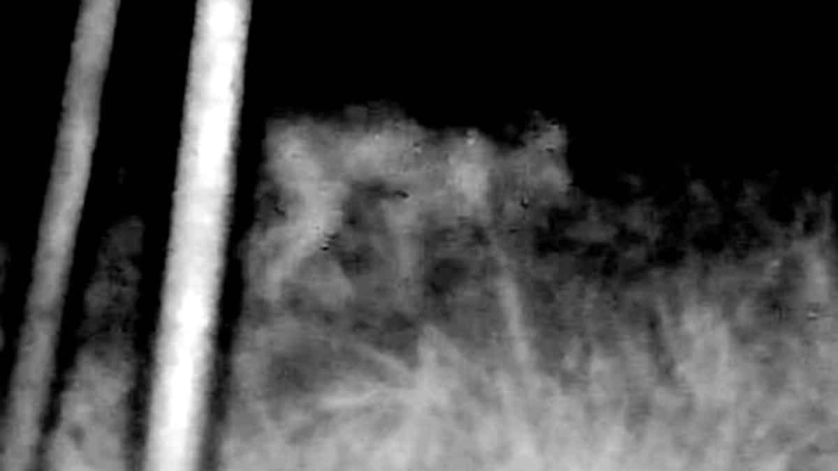 US: Trailcam captures chilling footage of mysterious 'skin-walker ...