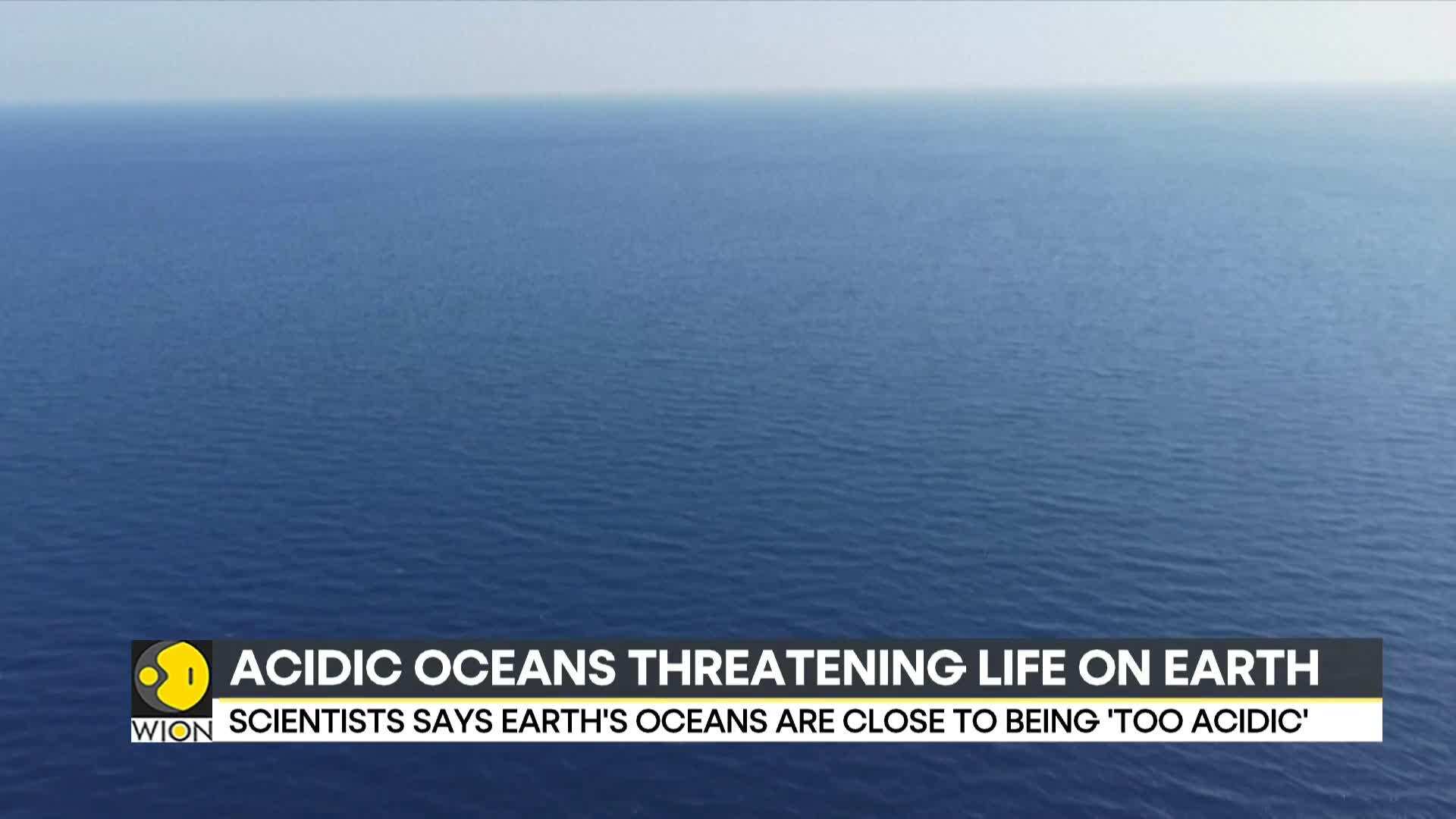 Will Marine Life Disappear In The Oceans? - World News