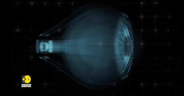 World's First Bionic Eye Developed - Gravitas News