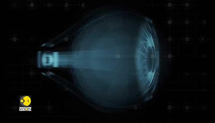World's First Bionic Eye Developed - Gravitas News