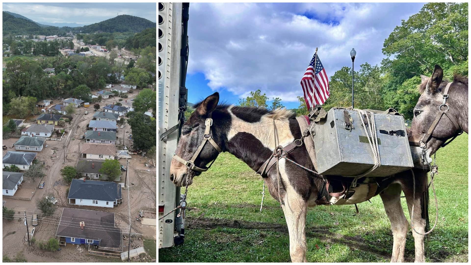 Watch: Hurricane Helene - Mules carry supplies, thousands without water ...