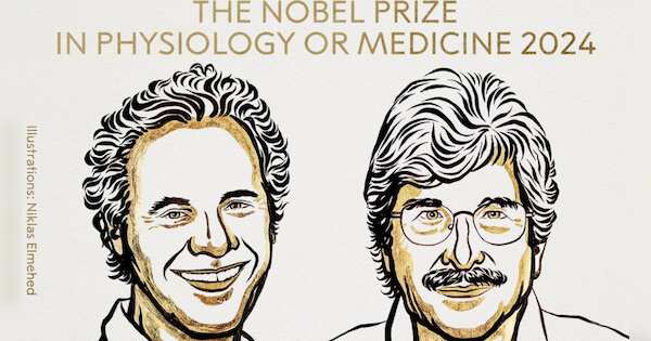 Victor Ambros and Gary Ruvkun awarded Nobel Prize in medicine for work ...