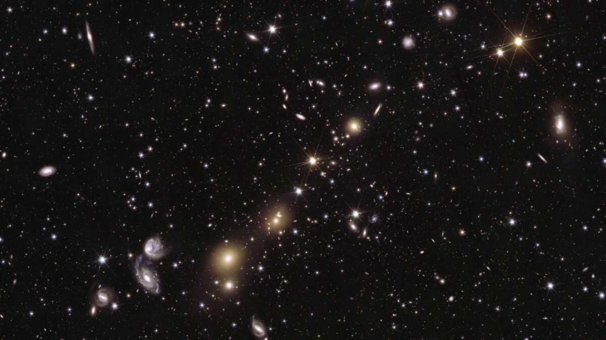 Breathtaking! Euclid telescope reveals first images from massive 3D map ...
