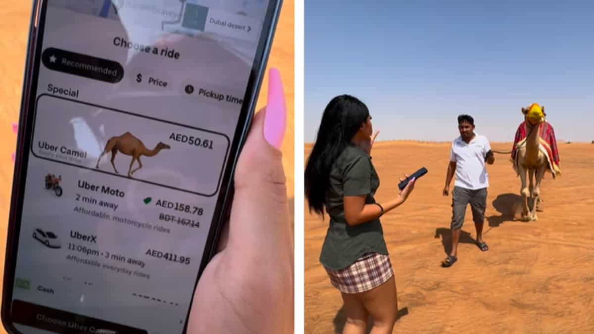 Woman gets stranded in Dubai's desert, books camel ride via Uber: Watch - World News