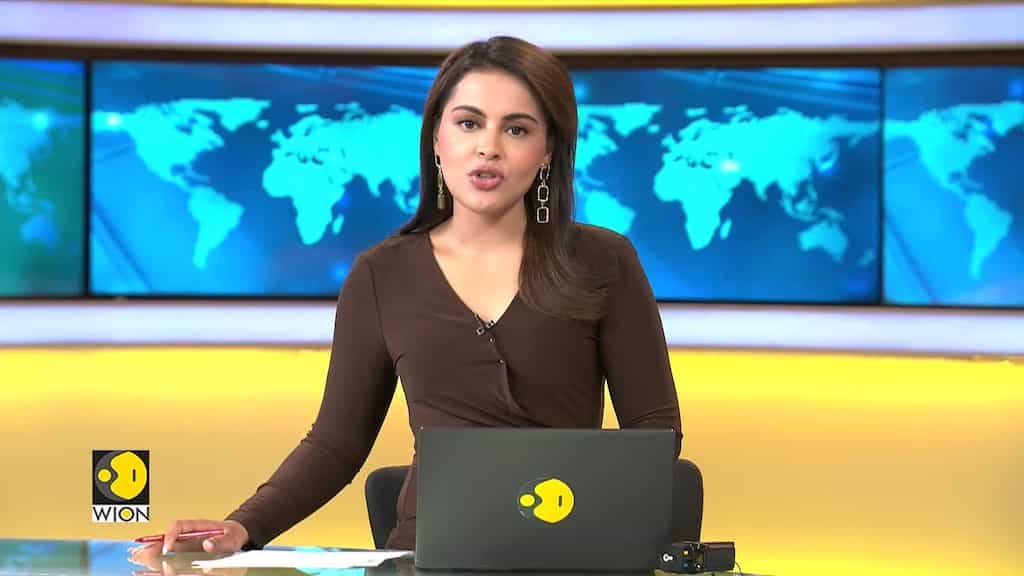 Jacaranda Flower News - Latest Jacaranda Flower News, Breaking ...